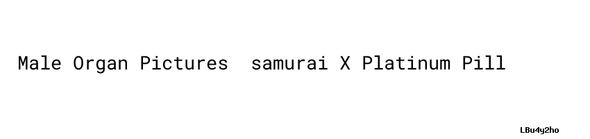 Male Organ Pictures ：samurai X Platinum Pill - ACTA MANILANA