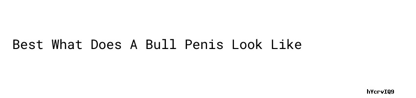 Best What Does A Bull Penis Look Like - Aula Ambiental